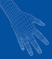 Human hand wire-frame Royalty Free Vector Image