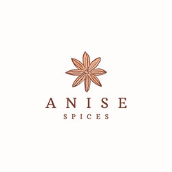Star anise logo Royalty Free Vector Image - VectorStock