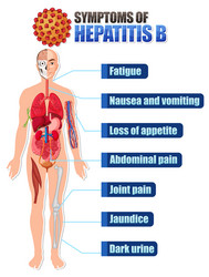Informative poster of common symptoms hepatitis b Vector Image