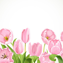 Tulips bouquet seamless border composition Vector Image
