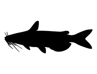 Alaska pollock fish silhouette art Royalty Free Vector Image
