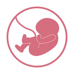Fetus Growth Vector Images (over 780)