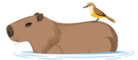Set of different capybara in cartoon style Vector Image