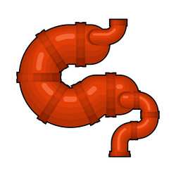Metal digestive tract iron stomach and intestines Vector Image