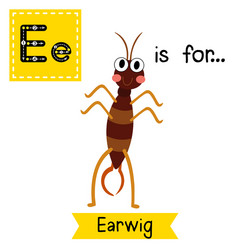 Letter e tracing crawling earwig insect Royalty Free Vector