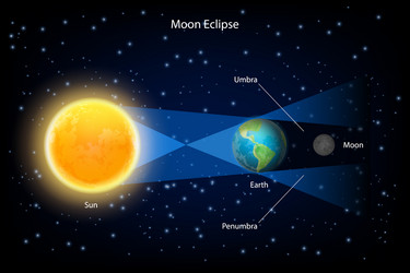Low and high moon tides education diagram Vector Image