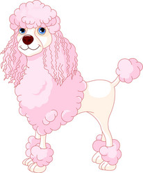 Cute pink poodle Royalty Free Vector Image - VectorStock