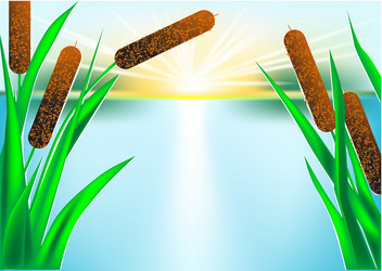 Pond Vector Images (over 26,000)