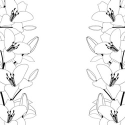 Easter Lily Border Vector Images (over 190)