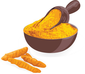 Big set of turmeric roots and powder Royalty Free Vector