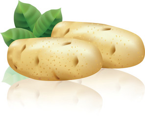 Potatoes Vector Images (over 61,000)