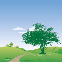 Country Vector Images (over 880,000)