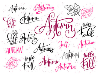 Hello autumn calligraphy set Royalty Free Vector Image