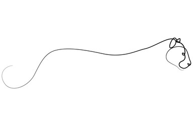 Puma Vector Images within Animals & Wildlife (over 3,300)