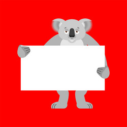 Koala scared bear frightened beast afraid Vector Image