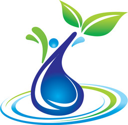 Green leaf and water drop Royalty Free Vector Image