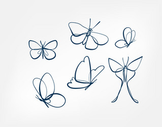 Butterfly insect art line isolated doodle Vector Image