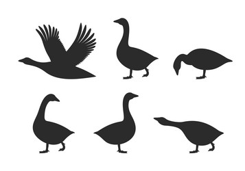 Goose Royalty Free Vector Image - VectorStock