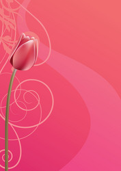 Single Tulip Vector Images (over 1,400)