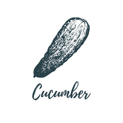 Cucumber Label Vector Images (over 1,500)