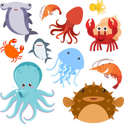 Four types of sea animals on white background Vector Image