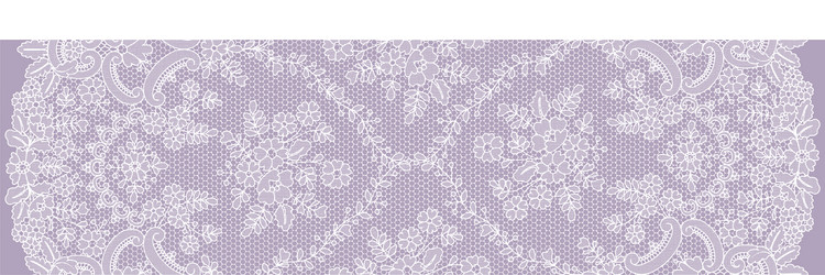 Seamless lace border Royalty Free Vector Image