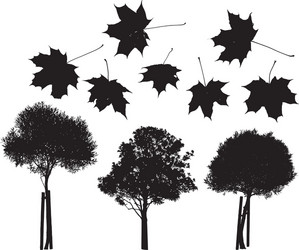 Maple Tree Silhouette Vector Images (over 9,300)