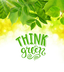 Hand drawn signcalligraphy go green motivational Vector Image