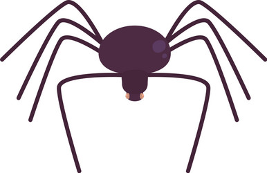 Creepy spiders animals on white background Vector Image