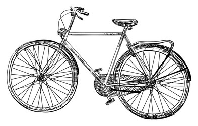 Realistic 3d detailed bike with front wicker Vector Image