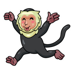 Cute little capuchin monkey cartoon Royalty Free Vector