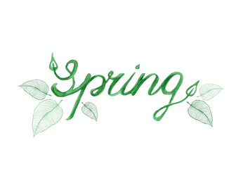 Hand lettered typography poster spring Royalty Free Vector