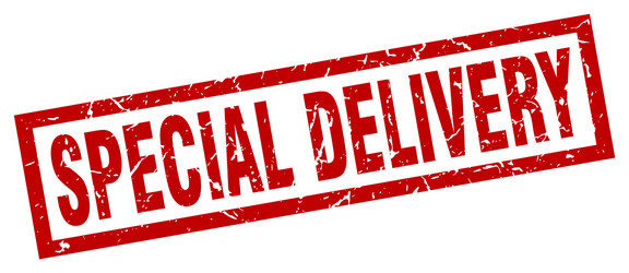 Special delivery sign or stamp Royalty Free Vector Image