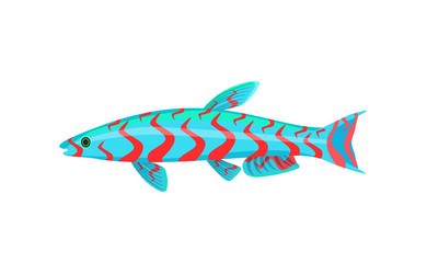 Mandarin fish beautiful character among seashells Vector Image