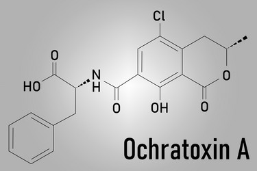 Mycotoxin Vector Images (58)