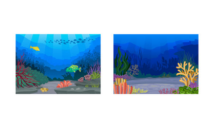 Sea coral and algae growing on the ocean bottom Vector Image