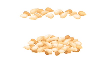 Grains and plant seed set with names Royalty Free Vector