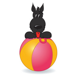 Dog Ball Bouncing Vector Images (51)