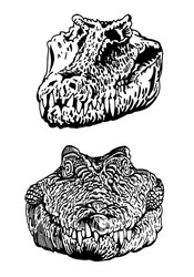 Gator Skull Vector Images (27)