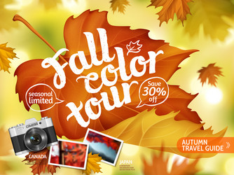 Fall Ads Vector Images (over 3,600)