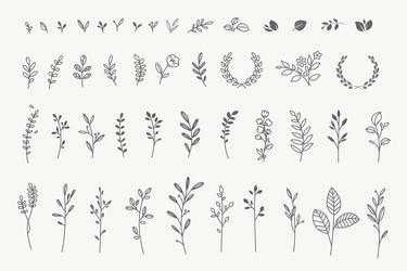 Line art floral elements Royalty Free Vector Image