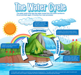 Rock cycle processes diagram Royalty Free Vector Image
