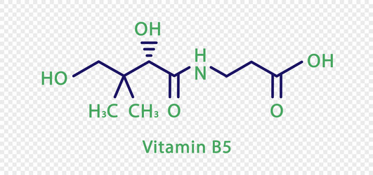 Vitamin B5 Structure