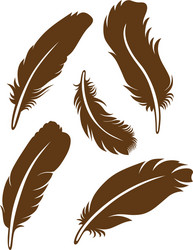 Feather set Royalty Free Vector Image - VectorStock