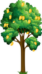 Cartoon Mango Tree