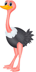 Cute ostrich cartoon on white background Vector Image