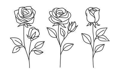 One line hand drawn rose long stem rose single Vector Image