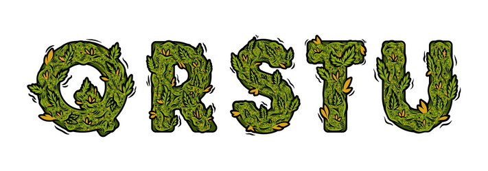 Decorative green marijuana alphabet design Vector Image