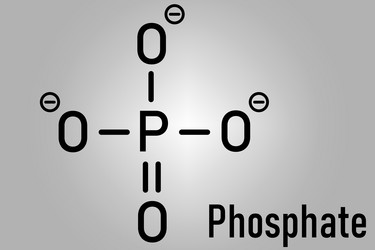 Chemical Formula Phosphate Vector Images (over 340)
