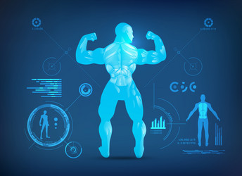 Muscle Vector Images (over 120,000)